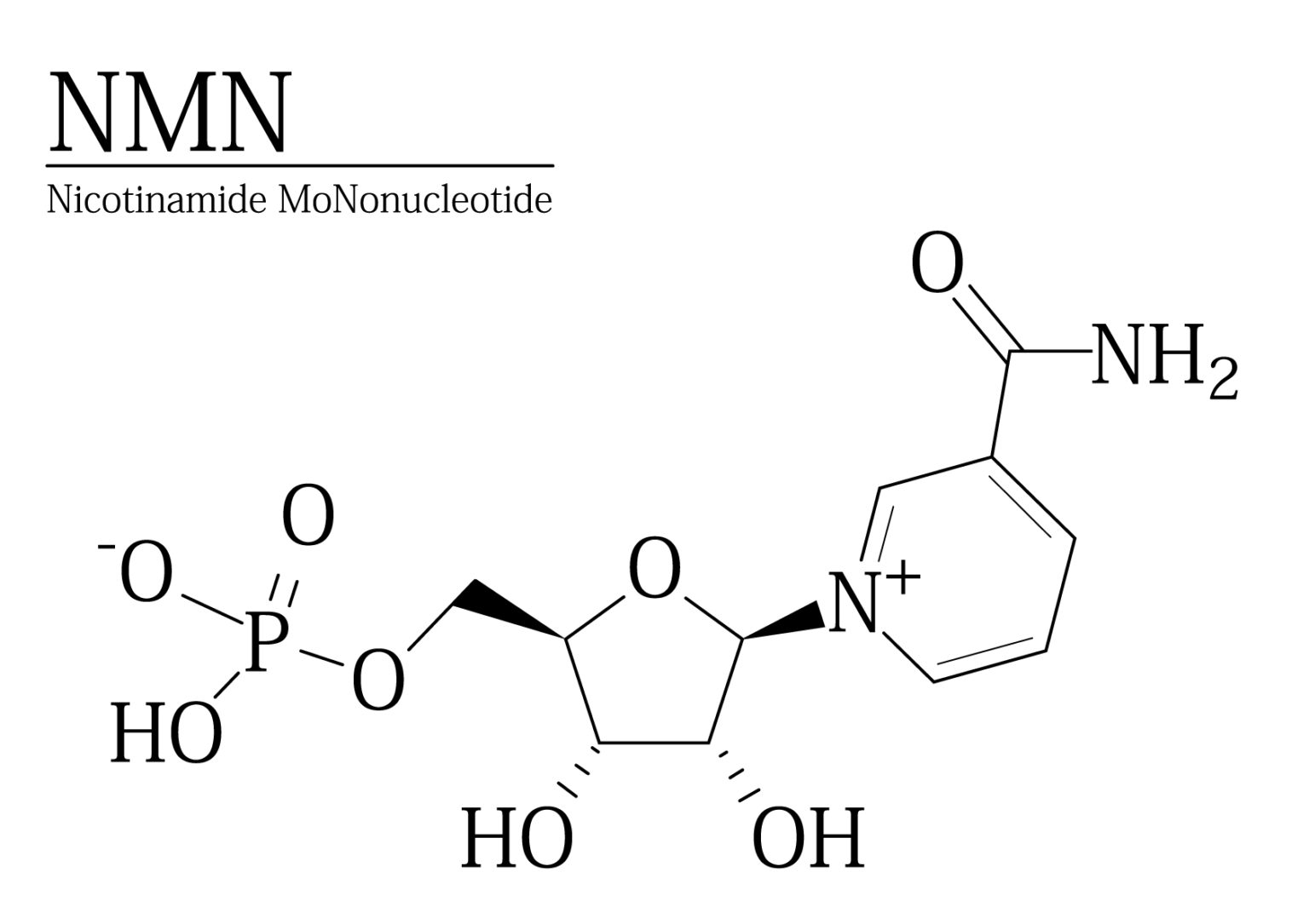 若さの鍵を握る次世代成分【NMN】 | コントアクリニック東京